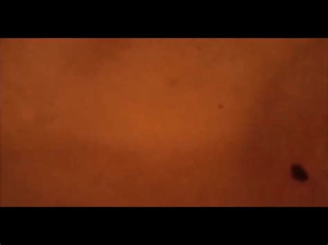 Blonde Deutsche Schlampe Wird Von Nerd Gefickt