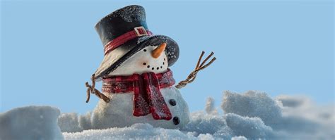 Olaf The Snowman Wallpaper [47 ] Christmas Olaf Wallpapers Backgrounds