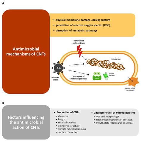 Properties Of Carbon Nanotubes