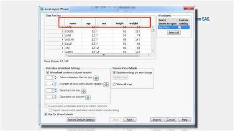 Excel Text Import Wizard Expanding Preview Greycoke