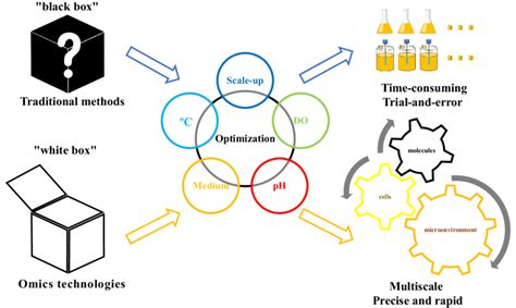 Comparison Of Microbial Manufacturing Process Optimization Using Download Scientific Diagram
