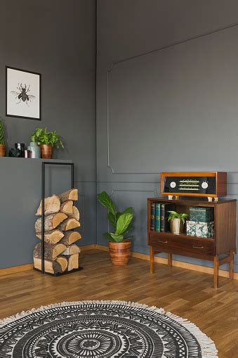 라디오 내각 장작 옆에 회색 복고풍 거실 인테리어에서 하는 라운드 양탄자 실제 사진 0명에 대한 스톡 사진 및 기타 이미지