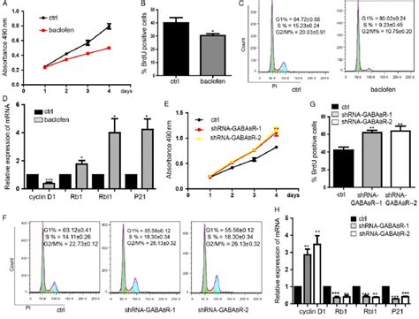 Activation Of γ Aminobutyric Acid Receptor Gaba B R Inhibited The
