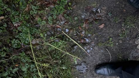 Shy Guy At Cruising Place And Could Not Resist My Dick Gay Black Black Porn Xhamster