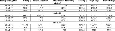 Accumulated Growing Degree Days °c Day At Different Rice Genotypes At