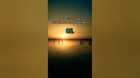 ජීවිතේට වැදගත් පවත්වාගෙන යා යුතු කරුණු 05ක් Motivation Quotes