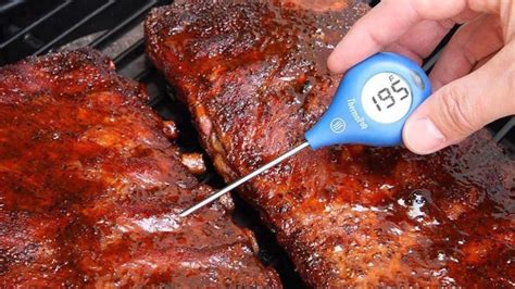 How To Use A Meat Thermometer Properly Reviewed
