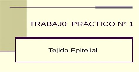 Trabaj0 PrÁctico N O 1 Tejido Epitelial Introducción Es Un Tejido Trabaj0 PrÁctico N O 1 Tejido Epitelial Introducción Es Un Tejido