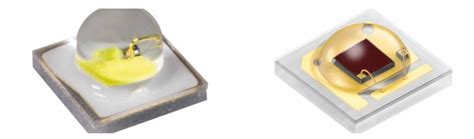 Osram Sheds Light On Corals With Oslon LEDs LEDinside