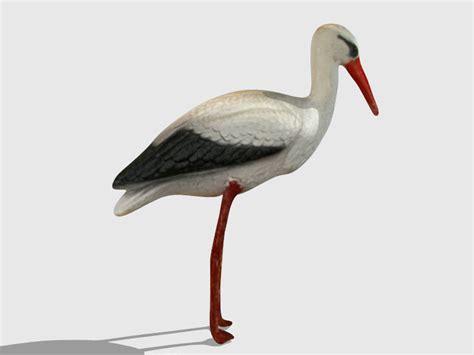 Swan Bird Sketchup 3d Model Skp File Download Sketchupbox