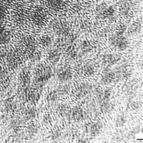 PDF Pyrolytic Carbon