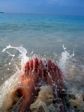 Free Dip Stock Photo FreeImages Com