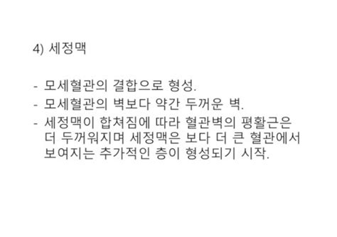 혈관 및 체순환 동맥과정맥