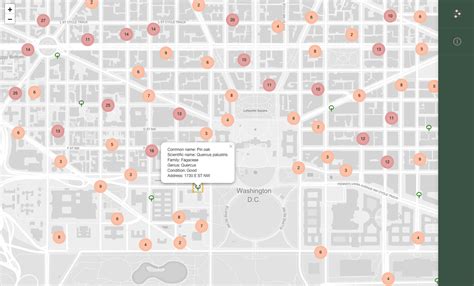 How To Make A Simple Map App Using Ruby On Rails React And Leaflet Part 2 Frontend By Ana