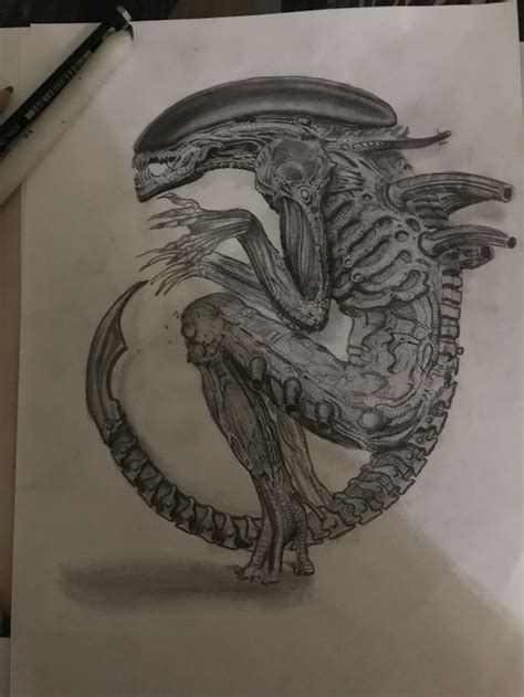 Xenomorph