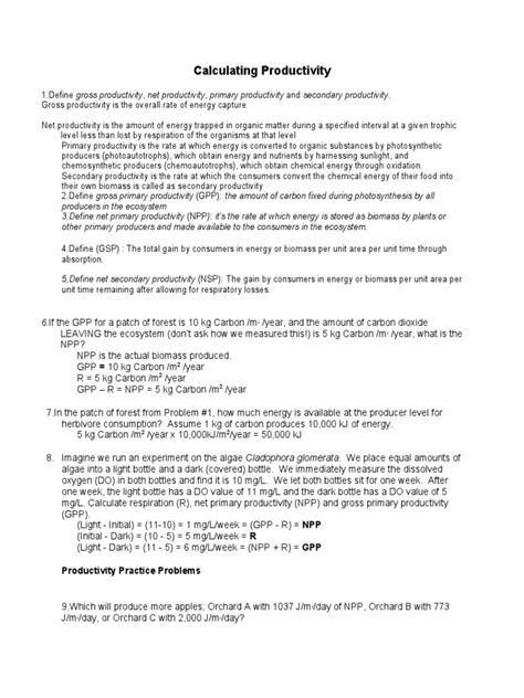 Calculating Productivity Pdf Primary Production Ecosystem