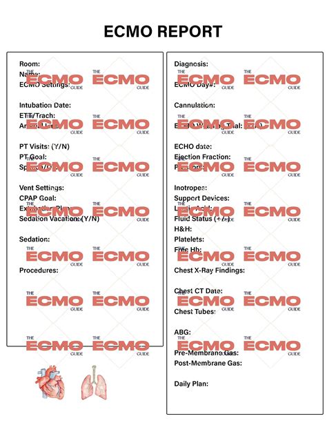 Ecmo Patient Rounding Sheet Report Sheet Made For Specialists Cvicu Nurses And More Etsy