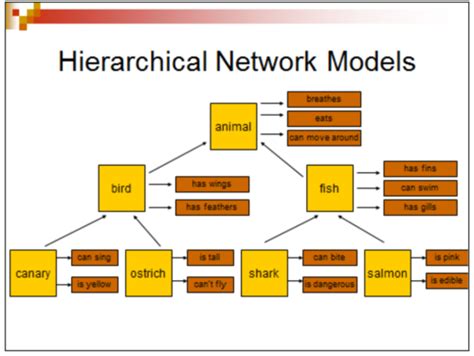 The Mental Lexicon Flashcards Quizlet