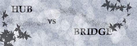 Difference Between Hub And Bridge 2022 A5theory