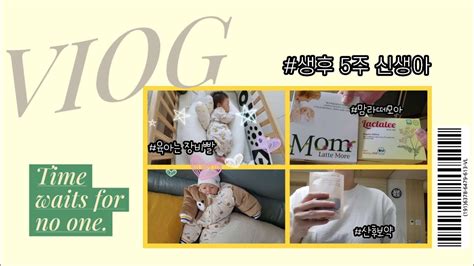 생후 5주 신생아 브이로그 육아는 장비빨 라라스베개 맘라떼모아 기저귀갈이대 산후보약까지 먹어가며 육아하는 아들둘맘 Youtube