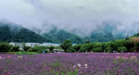 汉中留坝夏天凉快吗 汉中适合夏天玩的地方 夏天留坝哪里凉快 大山谷图库