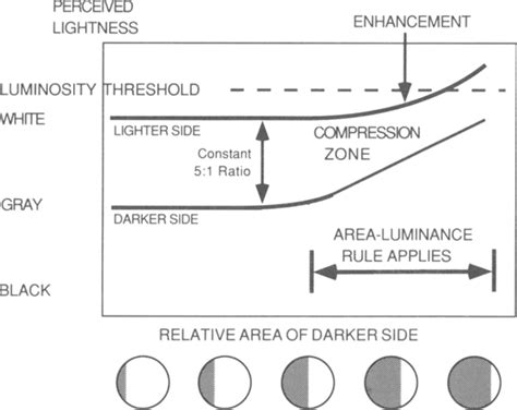 Schematic Summarizing The Appearance Of Two Regions Whose Luminance