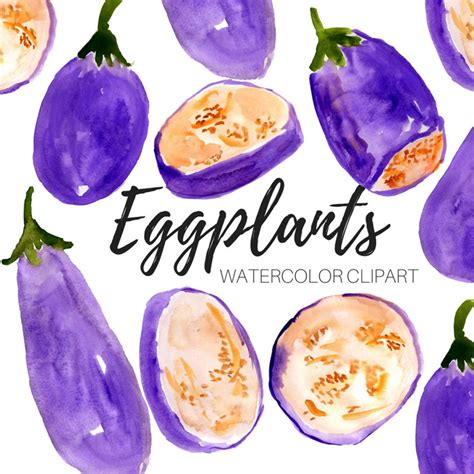 Watercolor Clipart Eggplant Clipart Food Clipart Cooking Etsy