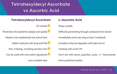 Tetrahexyldecyl Ascorbate Everything To Know Before Trying