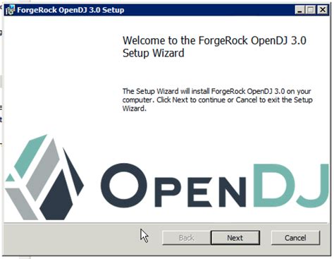 opendj on windows… ludo sketches
