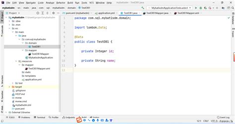 Mybatis整合达梦数据库mybatis 达梦 Csdn博客