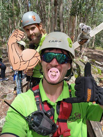 TreeTop Challenge Gold Coast All You Need To Know BEFORE You Go