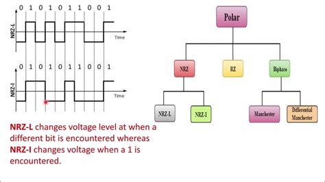 Network Structure Physical Layer Rpsc Programmer 2024 Programmer Computer Network