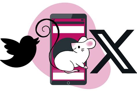 What Were The Effects Of Elons Buyout Of Twitter On Advertising