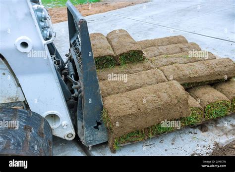 Stack Of Turf Grass Rolls For A Lawn Fresh Grass To Decorate Landscape