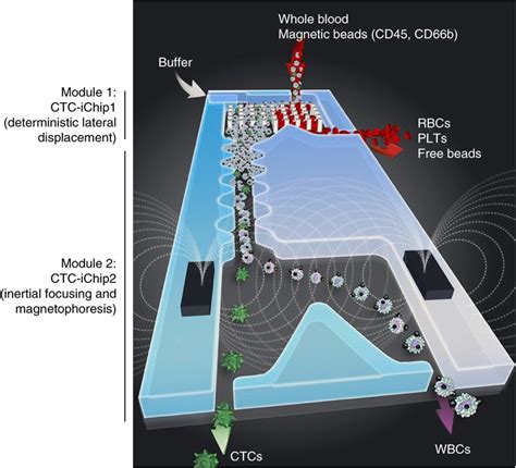 A New Method Of Isolation Of Circulating Tumor Cells From Blood
