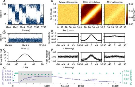 Emergence Of Feature Specific Connectivity A Raster Plot Of The Download Scientific Diagram