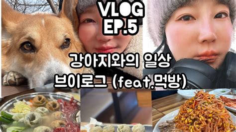Vlog Ep5 먹고 산책하는 강아지와의 일상 브이로그돼란사건의 전말겉절이에 대하여추어탕feat수육콩나물무침멸치칼국수짜파게티사골떡만두국쫄면돈까스