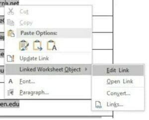How To Copy Excel Sheet Into Word With Gridlines Techdim