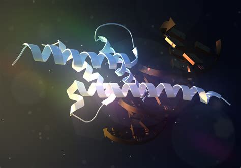 New Machine Learning Algorithm Accurately Estimates Body Clocks