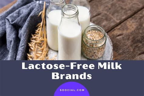 10 Lactose Free Milk Brands That Taste Delicious Soocial