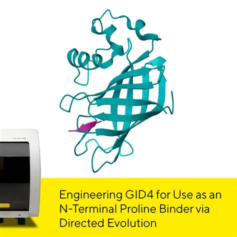 Octet® Affinity Binding Kinetics And Concentration On Linkedin