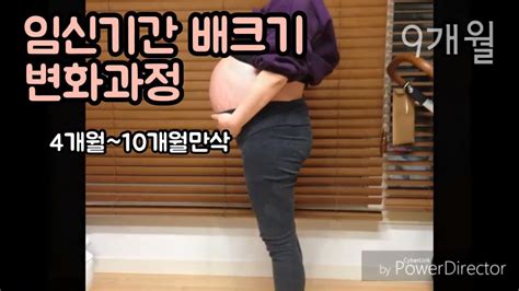 Medical 임신 기간 배 크기 변화 4개월~만삭 Youtube