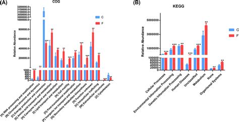 Functional Differences Of Picrust F Lung C Intestine A Cog