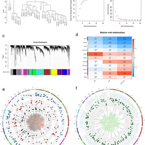 Preliminary Screening Of Valuable Genes A Cluster Dendrogram Of Ec Download Scientific