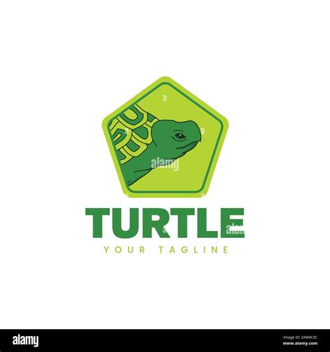 Modern Turtle Logo Design Stock Vector Image And Art Alamy