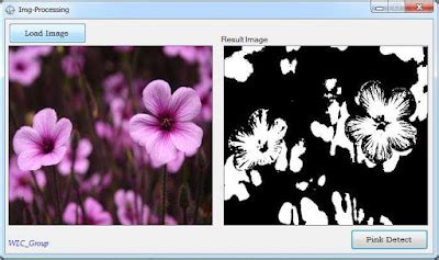 C Image Processing Pink Color Filtering Algorithm WLC Programming Knowledge