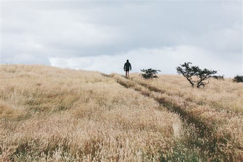 ramsey elbasheer new old stock archive