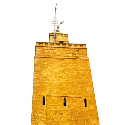 모스크 이슬람교도 사진 배경 및 무료 다운로드를위한 그림 Pngtree