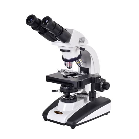 Collection Of Microscope Png Pluspng
