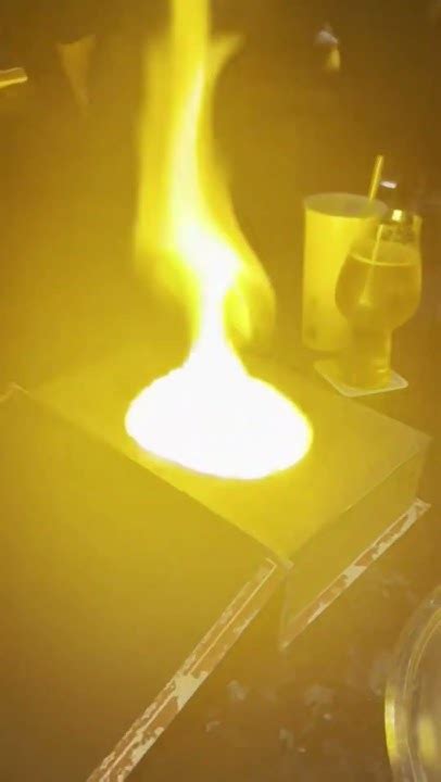 What A Treat Codelife Softwaredeveloper Airport Codinghumor